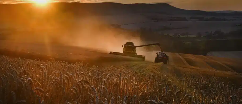 Home - Farrelly Mitchell