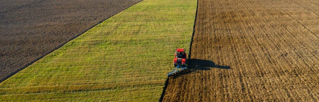 Home - Farrelly Mitchell