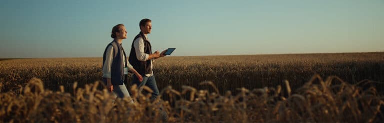 Understanding value creation levers