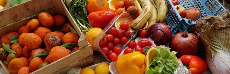 Food loss and food waste: Causes and solutions across geographies