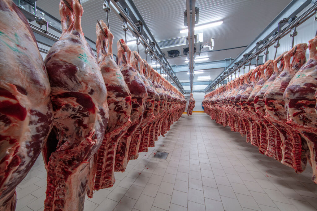 Saudi Arabia moves to onshore red meat production